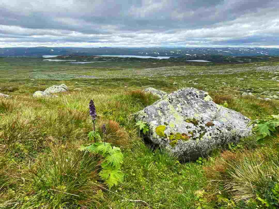 7 Best Way To See Norway In 2025 (From A Local)! | Travel To Norway