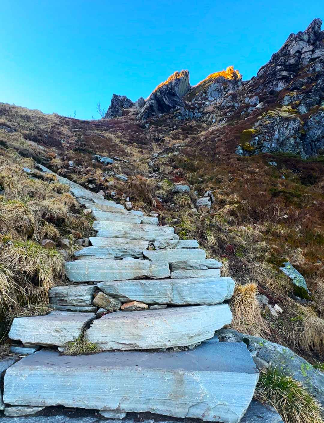 How To Do Reinebringen Hike Sherpa Stairs In Lofoten From A Local (2026 ...