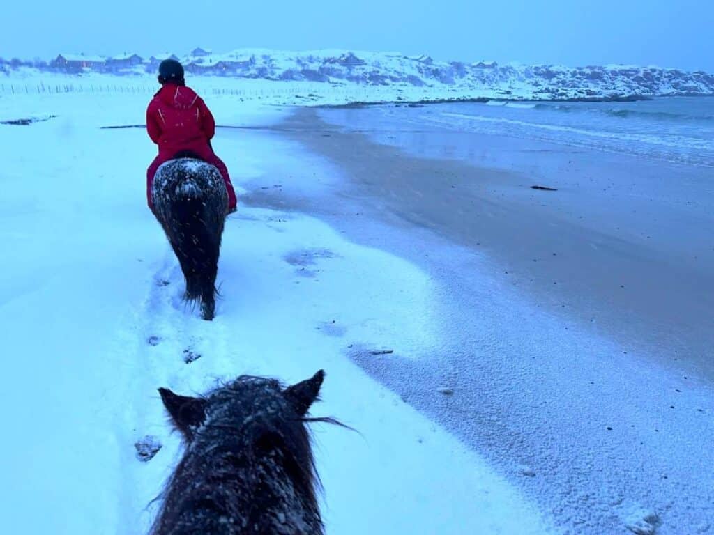 Horseback Riding In Lofoten: Welcome To Hov Gård On Gimsøya | Travel To ...